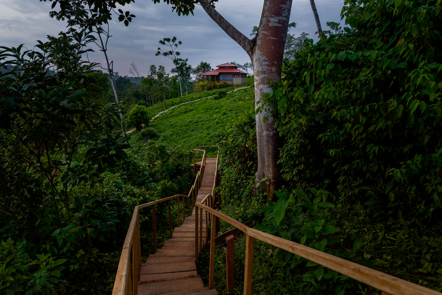 Nica_4989_0398b - Guacimo Ecolodge – Nicaragua