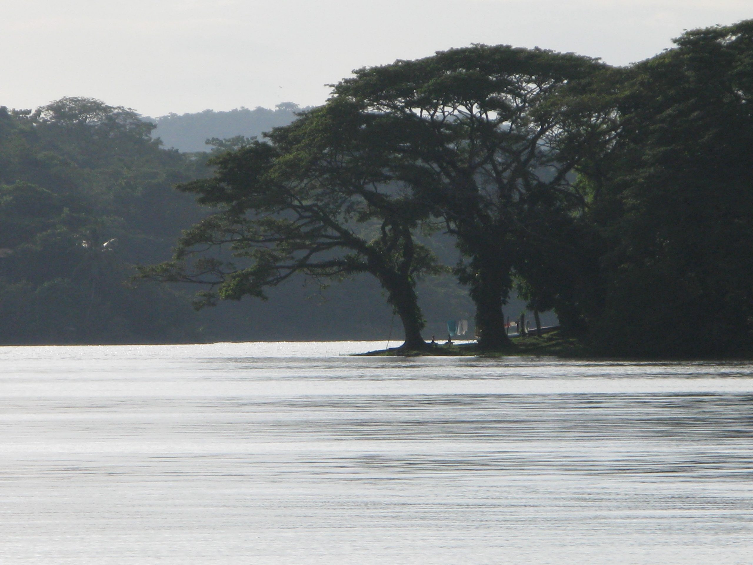 trees-on-the-shore-of-a-lake - Guacimo Ecolodge – Nicaragua